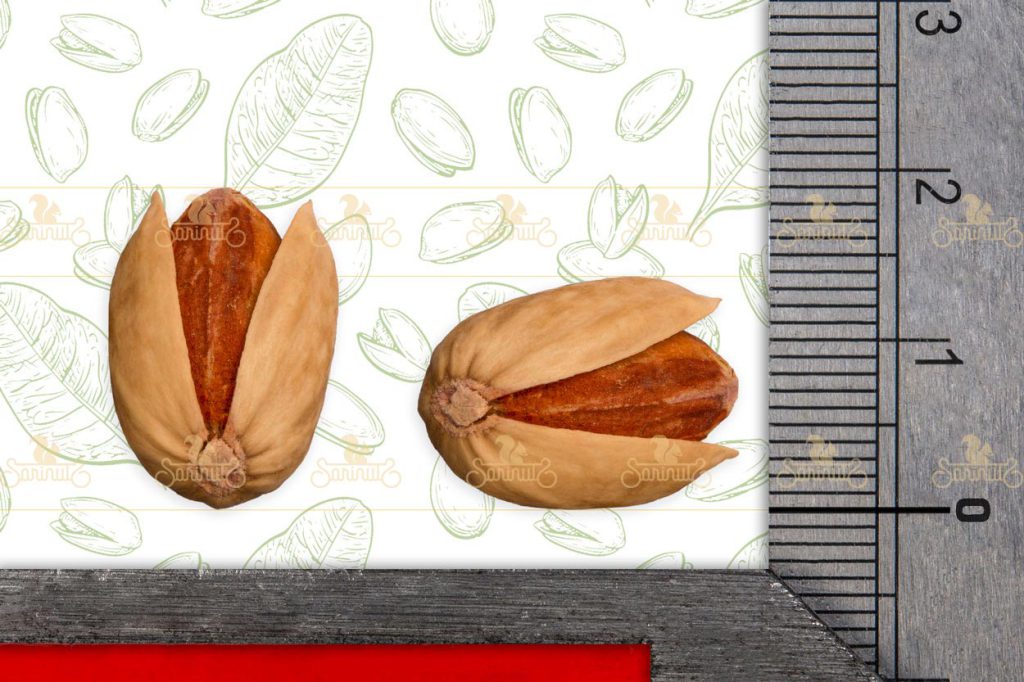 Badami Pistachio | sorinuts